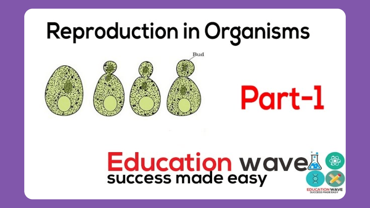 Biology Reproduction In Organisms Class 12 Educationwave Success Made Easy